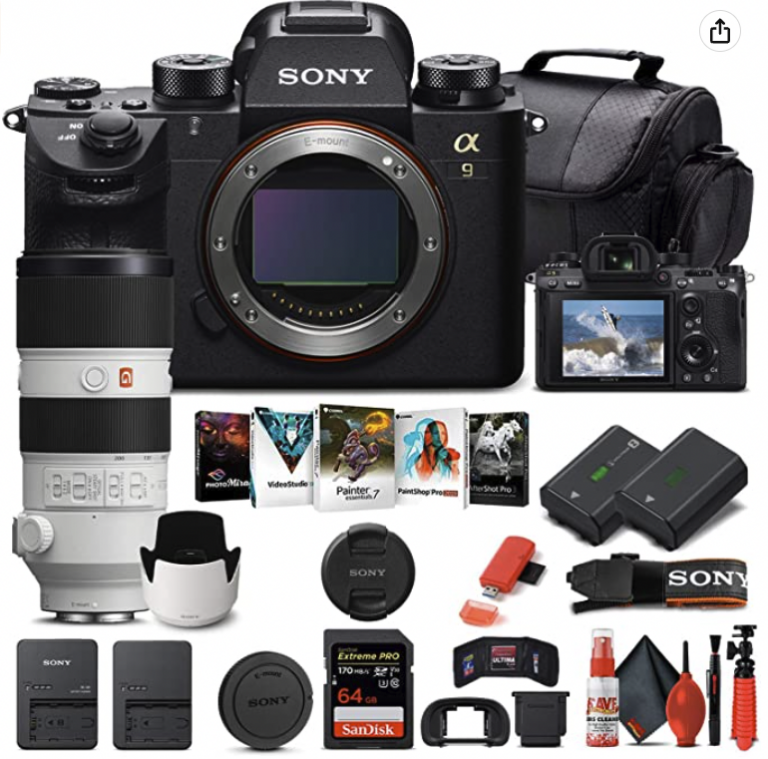 17+ Models: Sony Mirrorless Cameras Comparison [Ranked & Reviewed ...